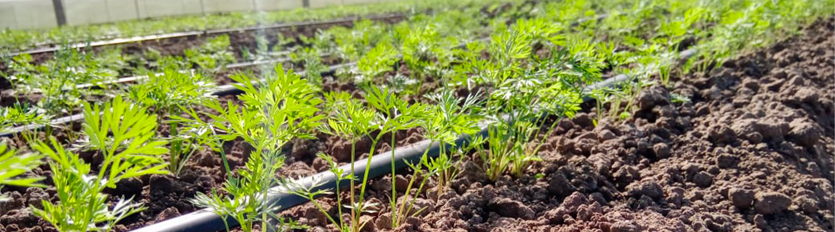 CMGP.CAS - Votre référence en solutions pour une agriculture durable